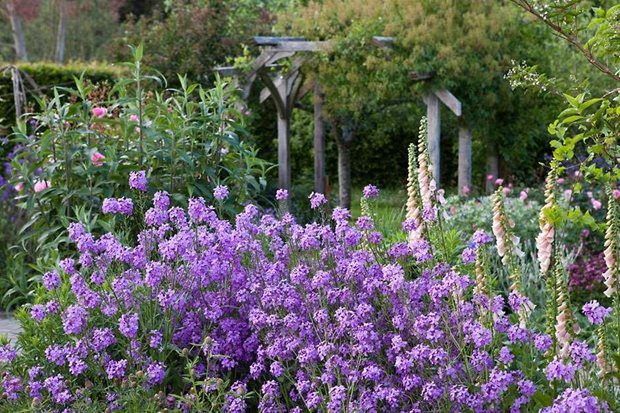 RHS Garden Rosemoor | Fun, family days out & events in North Devon ...