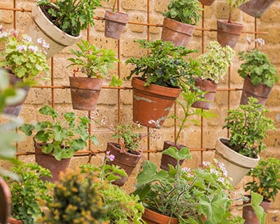 Planting design for small spaces / RHS