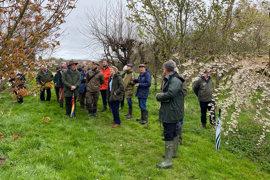 RHS Expert Groups / RHS