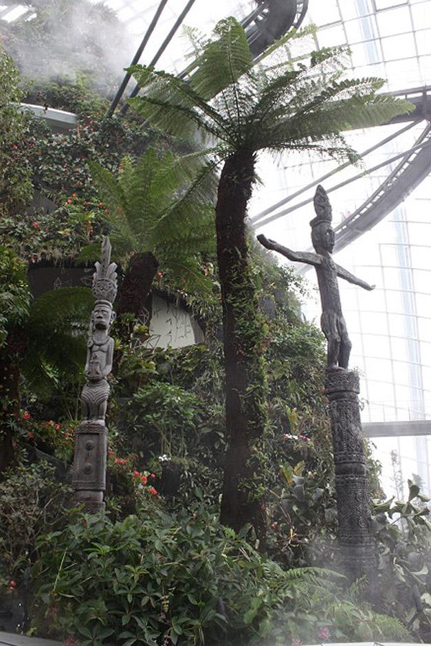 View an RHS gallery of Singapore's Gardens by the Bay / RHS