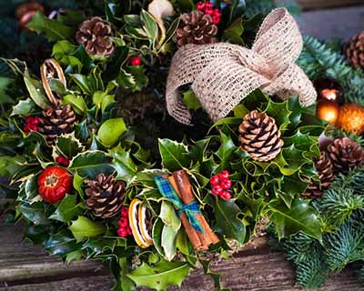 Grow your own Christmas month by month countdown / RHS