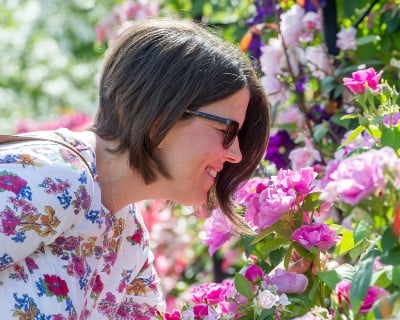 10 award-winning (AGM) reliable roses for your garden / RHS