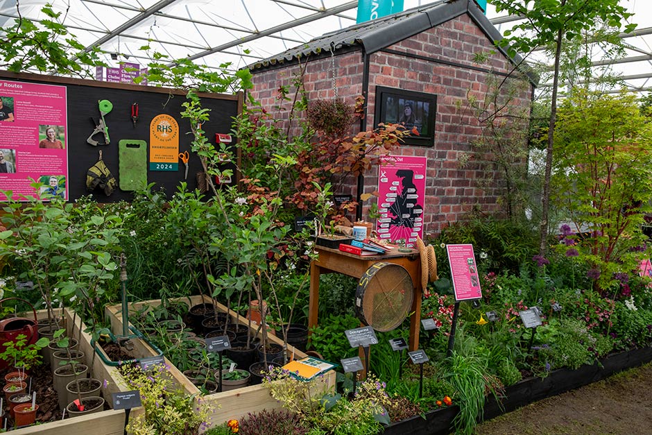Discovery Zone returns to RHS Chelsea Flower Show 2024 / RHS