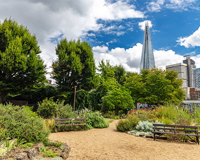 Red Cross Garden / RHS