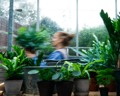 Growing hope and houseplants in prison / RHS