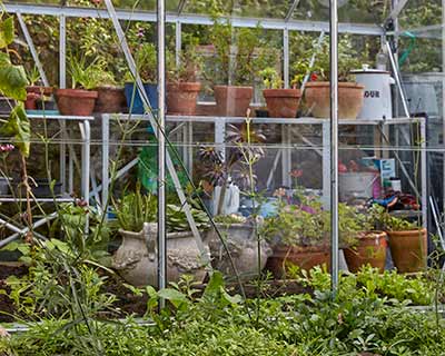 How to make the most of your greenhouse in winter / RHS