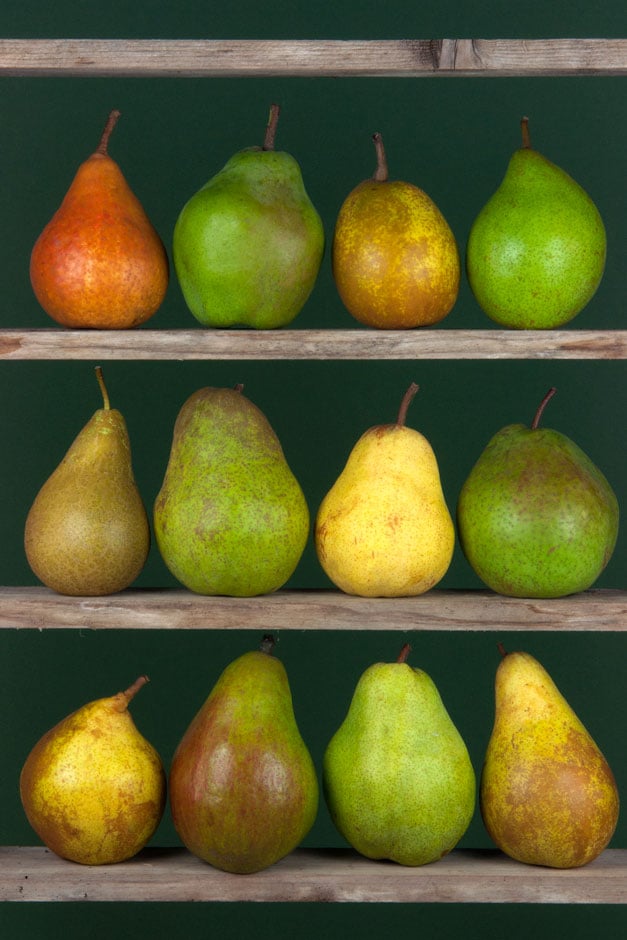 RHS Grow Your Own: Fascinating facts about pears / RHS