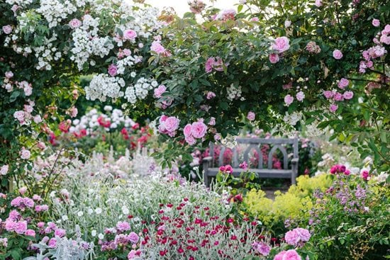 Romantic Garden