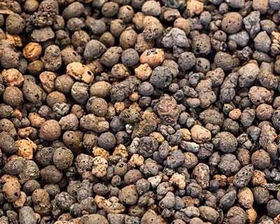 A guide to compost mixes for houseplants / RHS