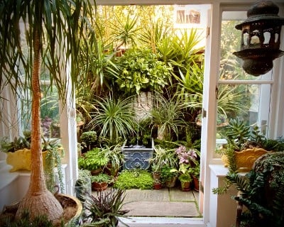How to garden when you rent: A guide for tenants, property owners and ...