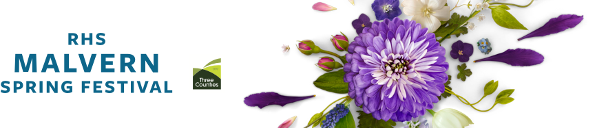 A house plant for every room in your home / RHS Gardening