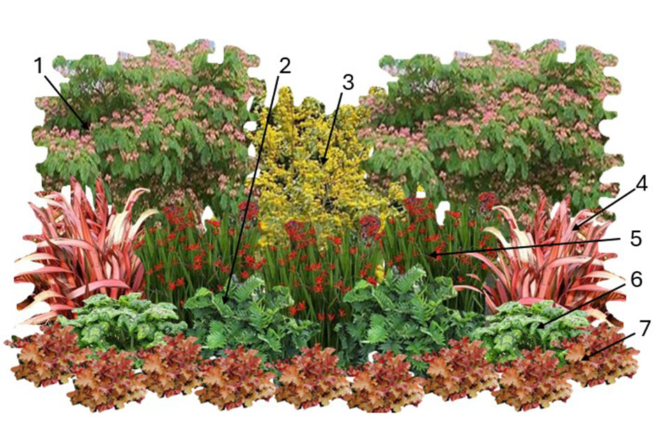 Tropical Plants For Privacy 12 Best Tropical Plants To Turn Any Space