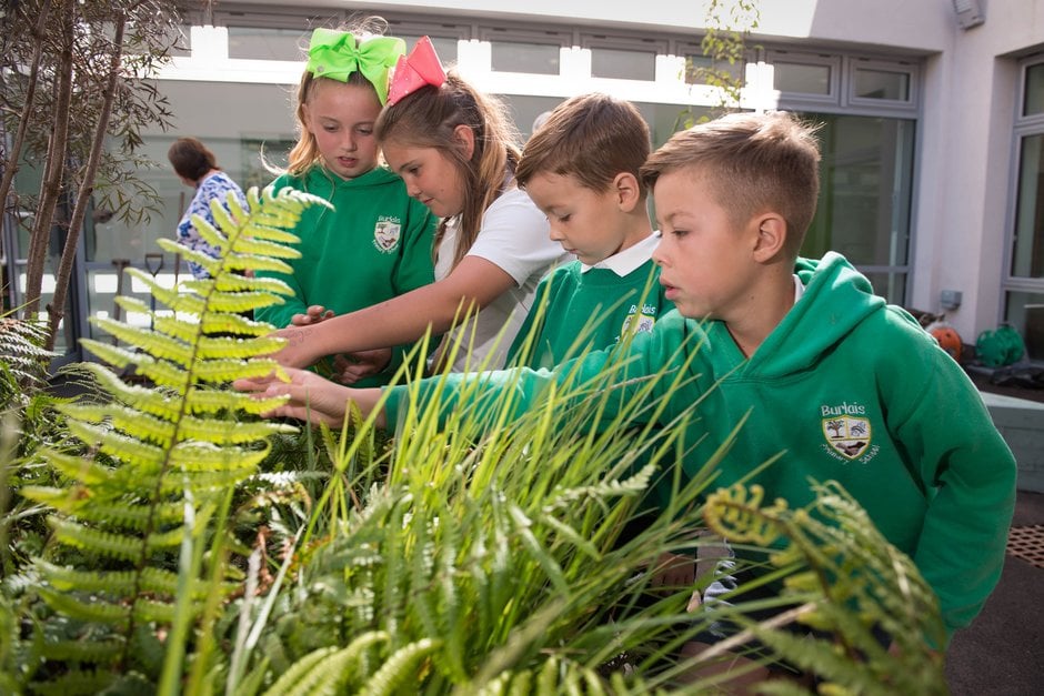 School visits to RHS Garden Hyde Hall / RHS