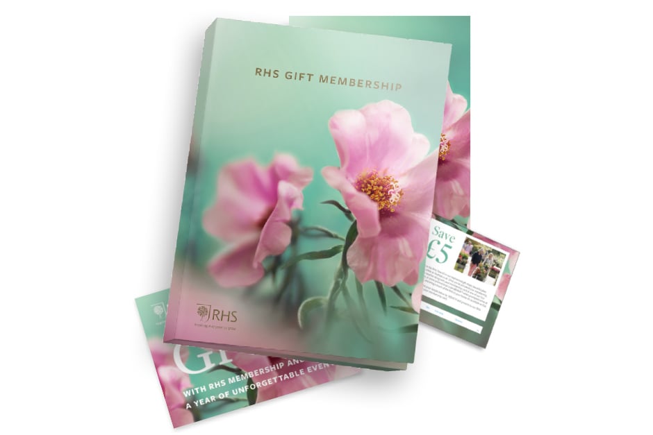 Shop online for plants, gifts, books | buy gardening gifts / RHS Gardening