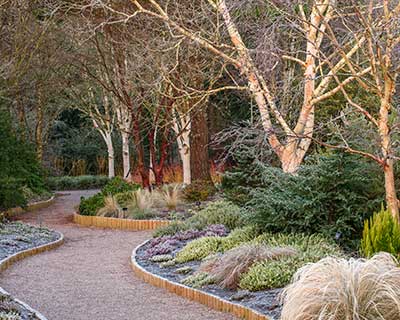 How to have a beautiful winter garden, with designer Naomi Slade / RHS