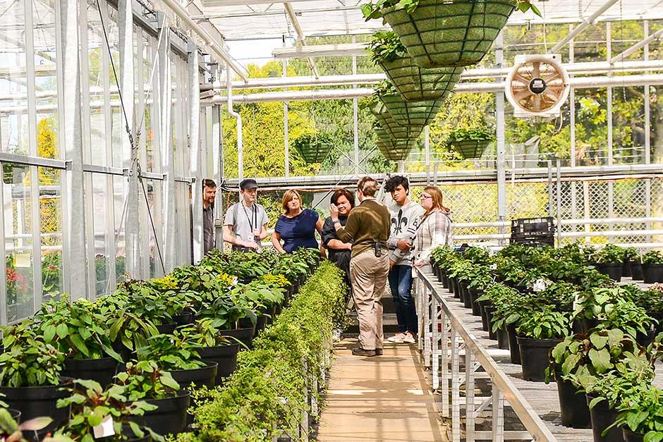 RHS horticultural training and qualifications / RHS Gardening