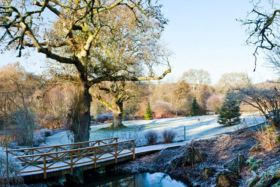 Highlights of RHS Garden Rosemoor / RHS
