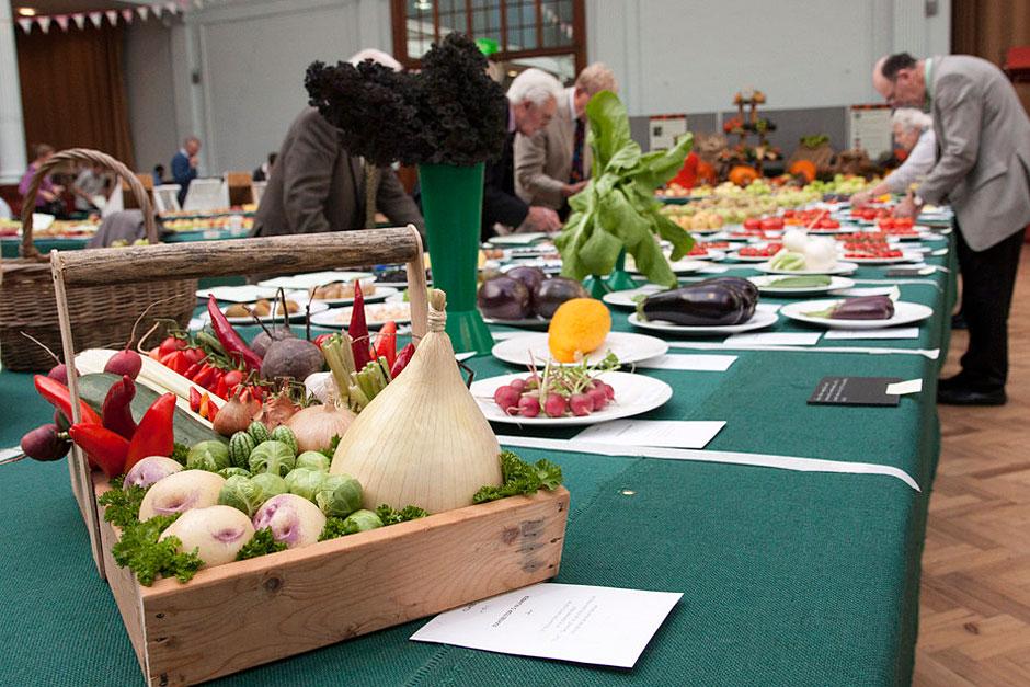 Take part in RHS Horticultural Competitions at RHS events / RHS Gardening