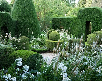 Discover the magic of white gardens / RHS