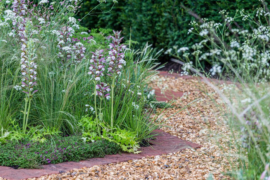 Creeping Plants For Slope Garden 15 Best Plants For Hillsides To